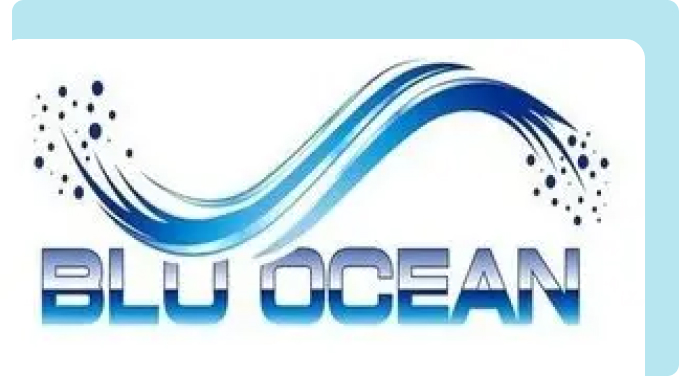 Driving Innovation: Blu Ocean’s Journey with Virtual Employee