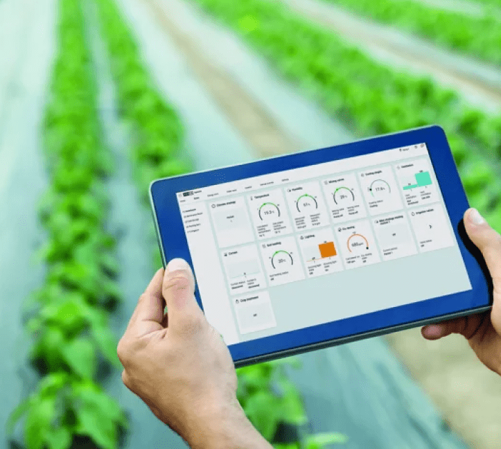 Embedded Priva Case Study - VirtualEmployee.com