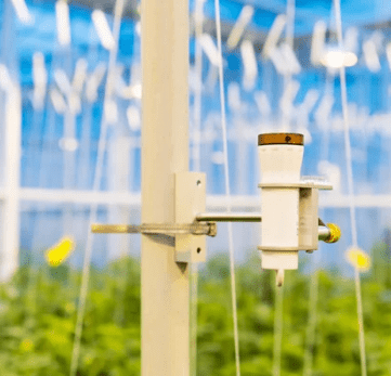 Embedded Priva Case Study - VirtualEmployee.com